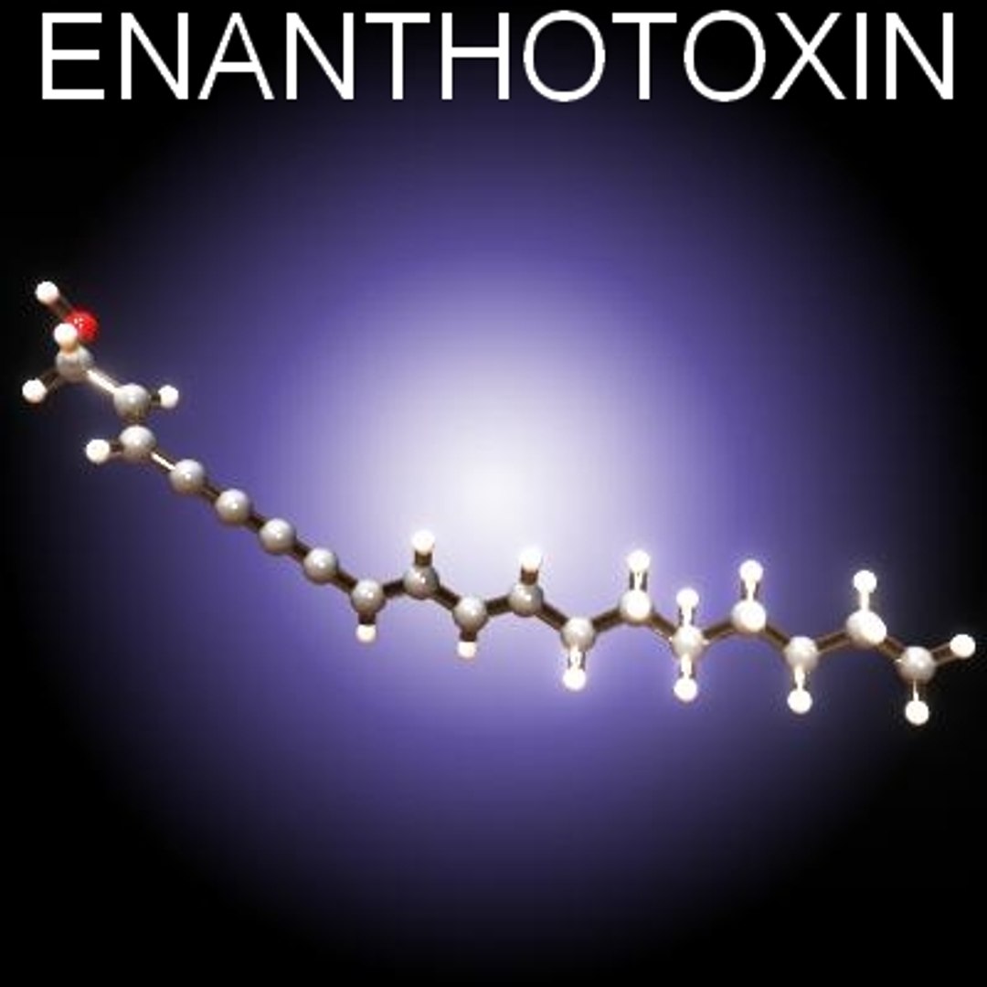 3d model 20 molecules