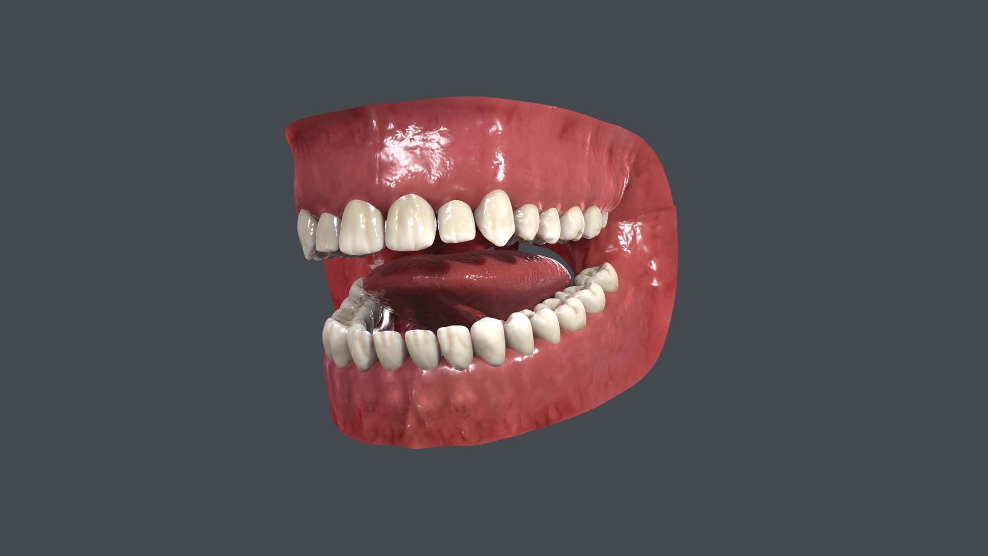 3D Human Mouth Teeth Tongue Model - TurboSquid 2218817