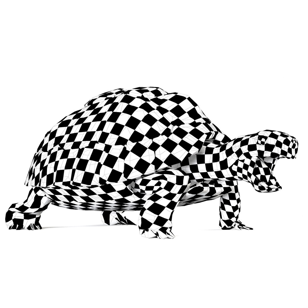 3D Turtles model - TurboSquid 2061602