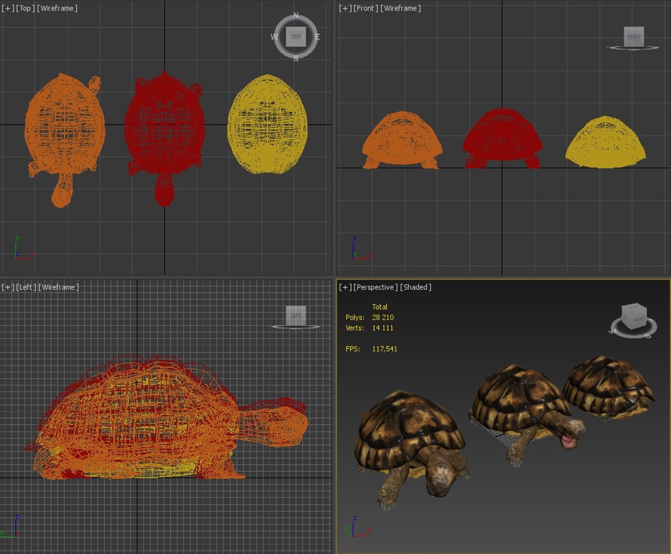 3D Turtles model - TurboSquid 2061602