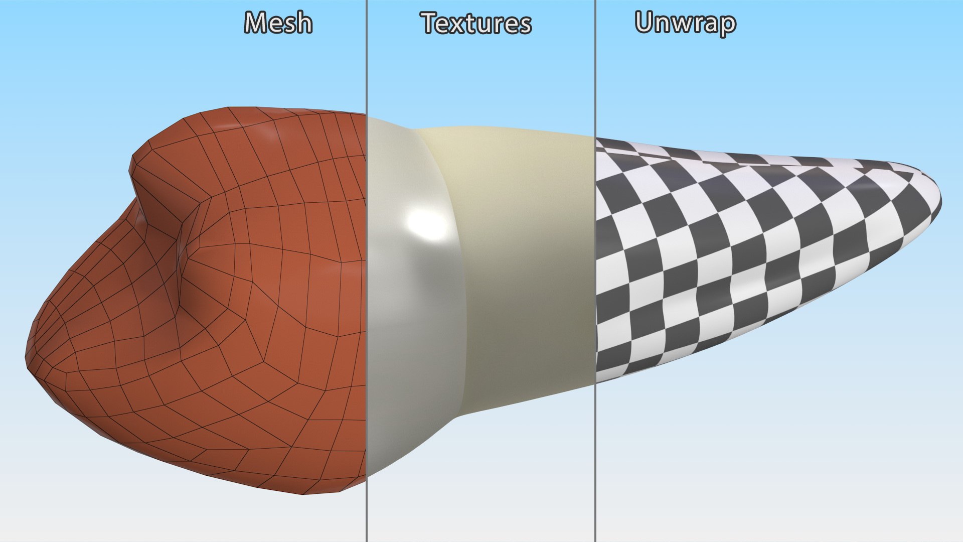 Canine Tooth Human 3D - TurboSquid 2139732