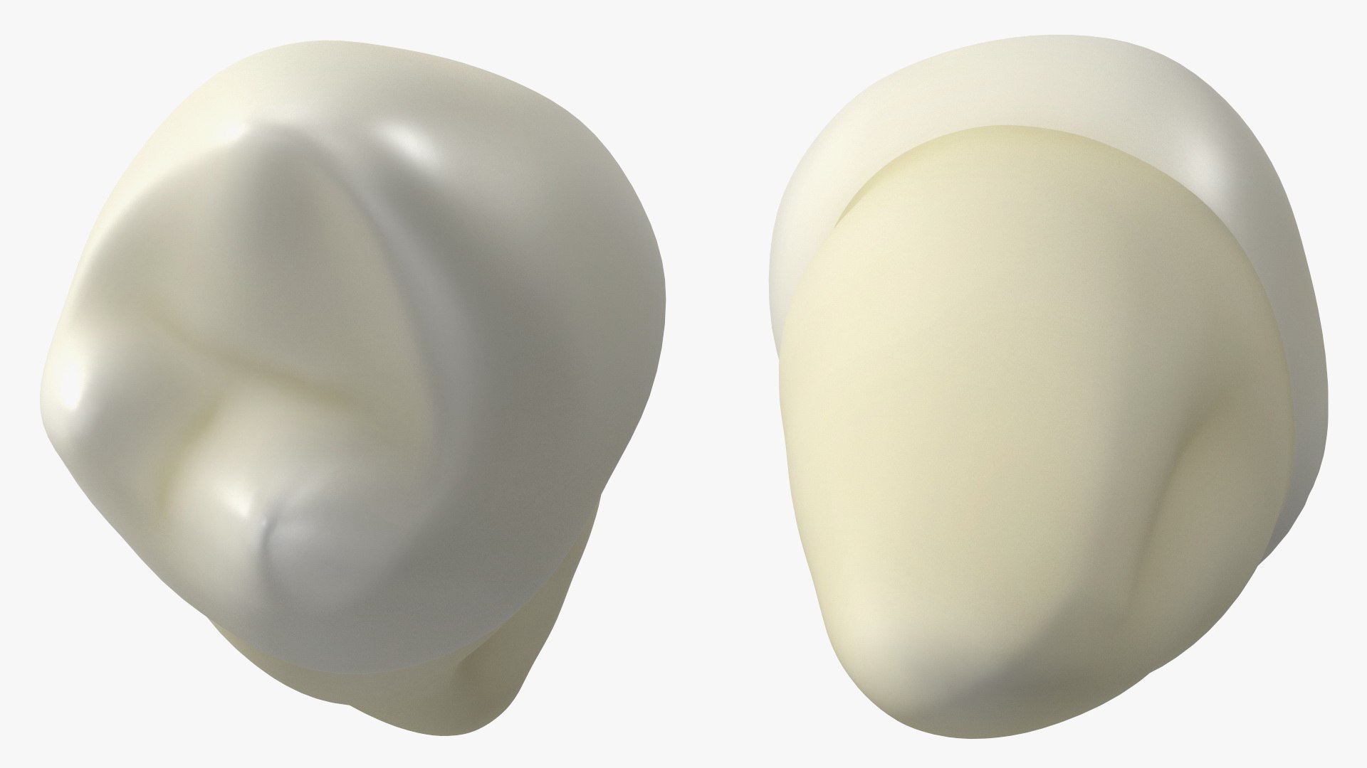 Canine Tooth Human 3D - TurboSquid 2139732