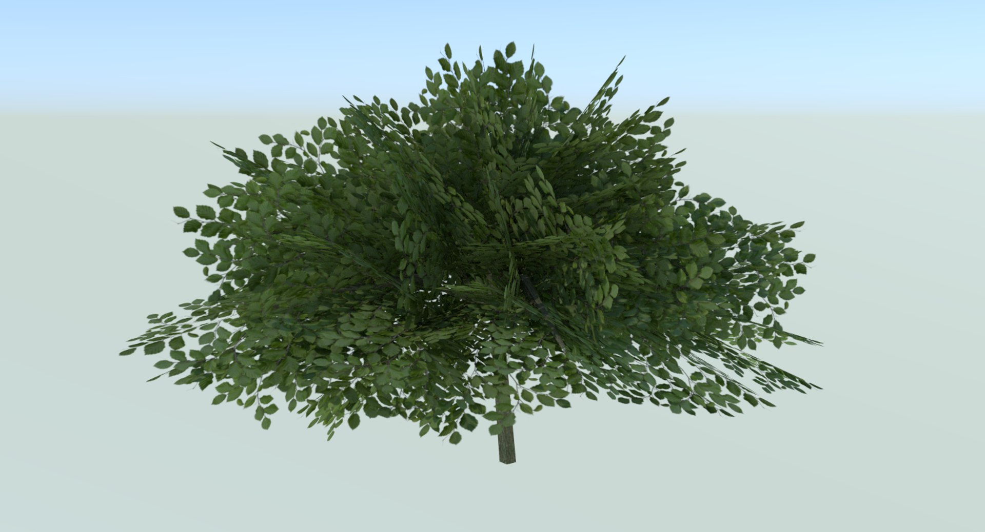 3d model ready shrub