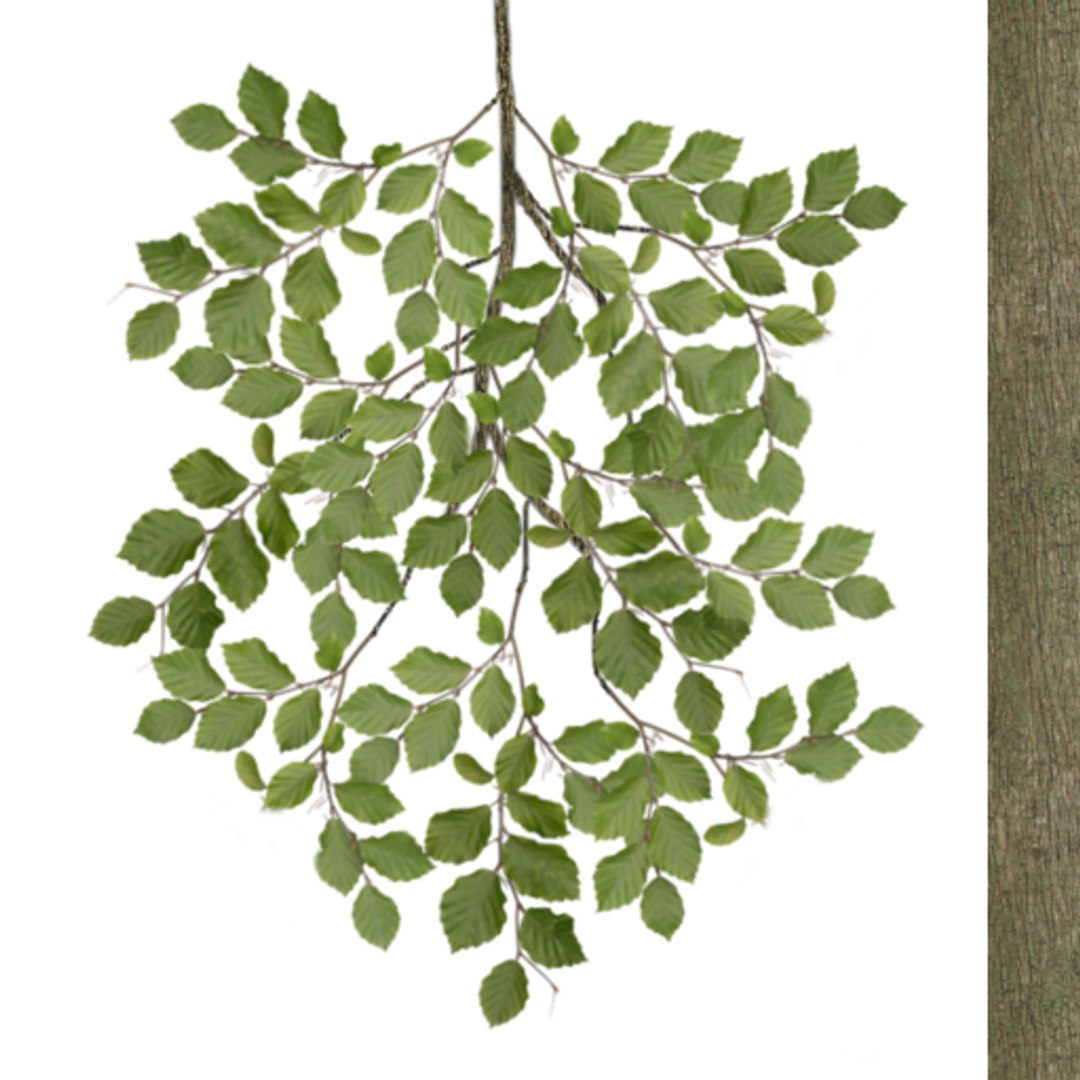 3d model ready shrub