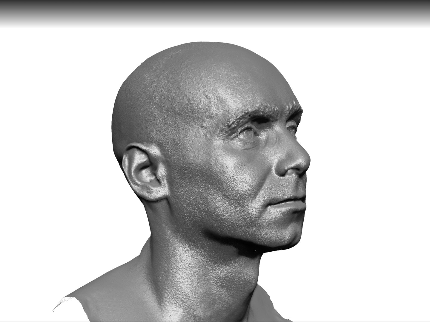 3d Male Head Model