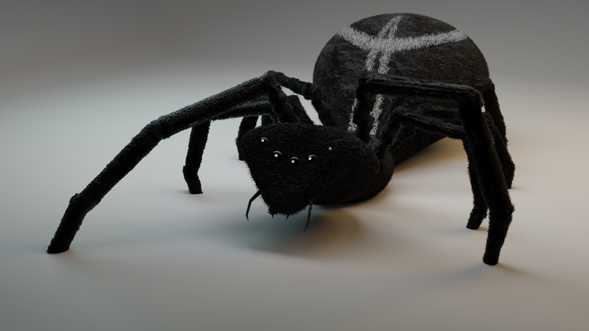 Spider Model 3D - TurboSquid 1959181