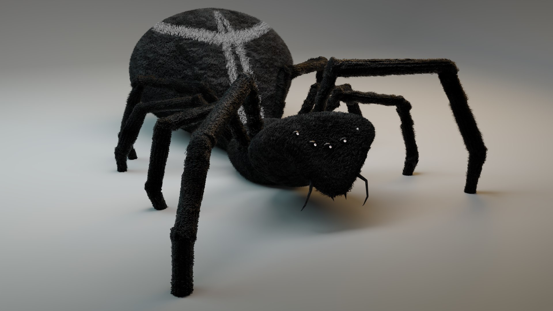 Spider Model 3D - TurboSquid 1959181