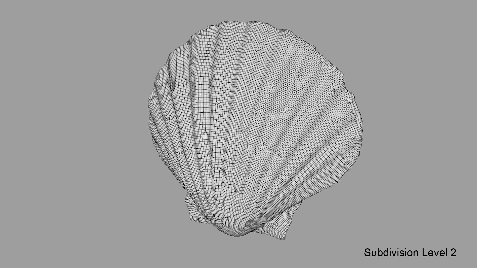 3D sea shell model - TurboSquid 1495817