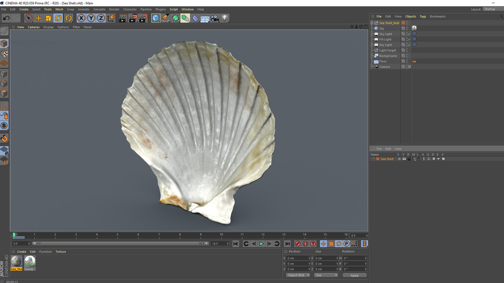 3D Sea Shell Model - TurboSquid 1495817