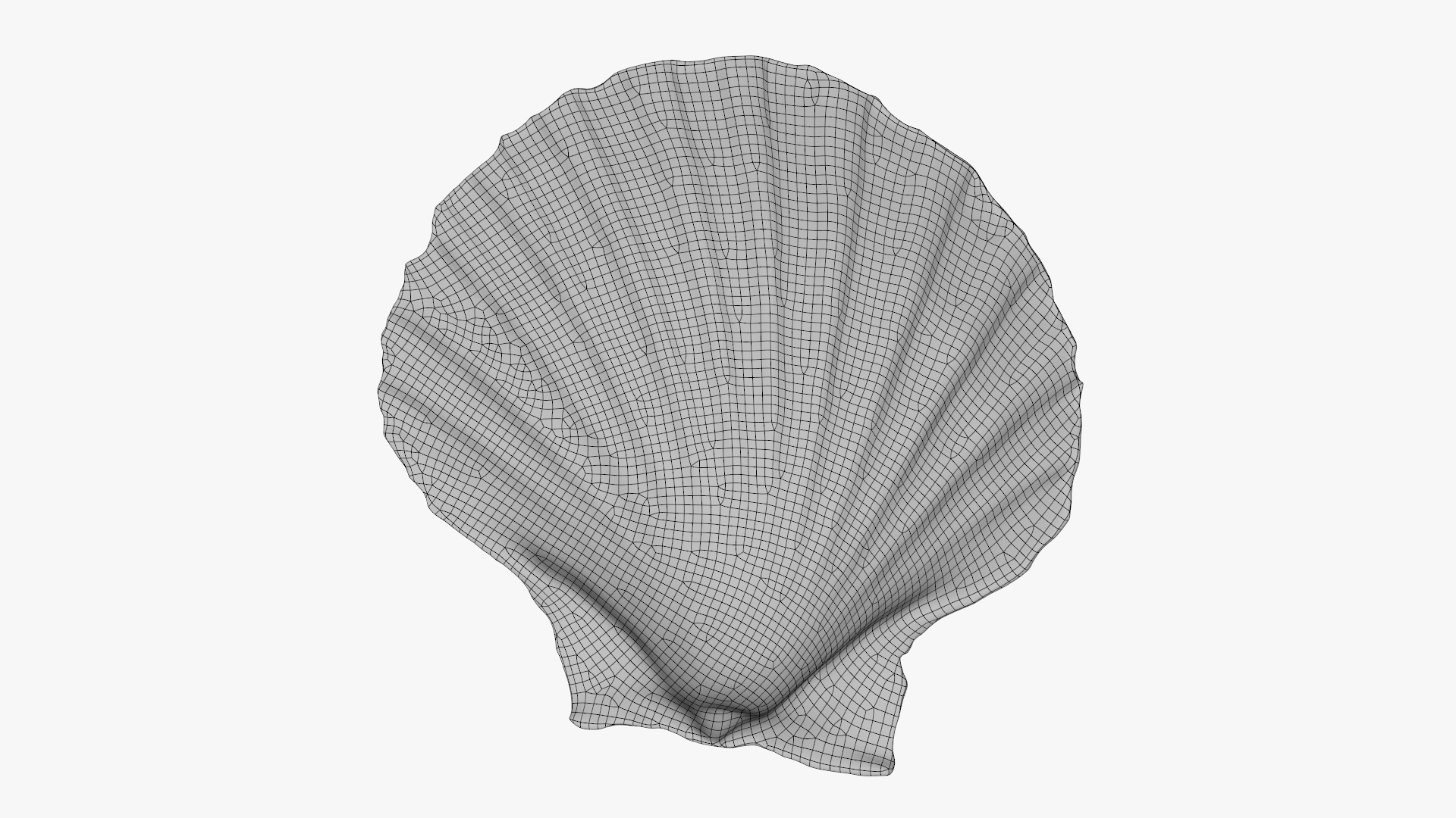 3D sea shell model - TurboSquid 1495817