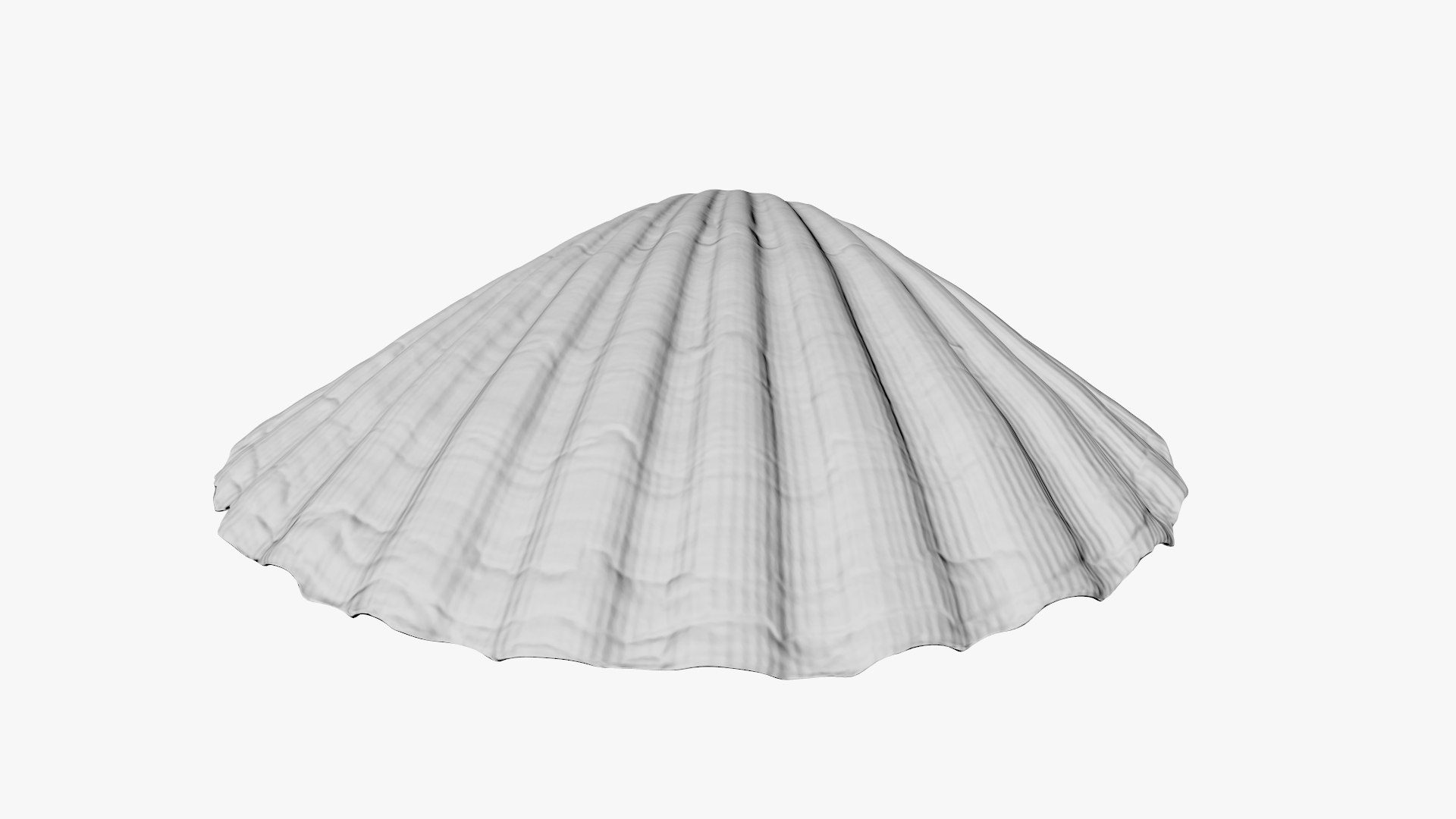 3D sea shell model - TurboSquid 1495817
