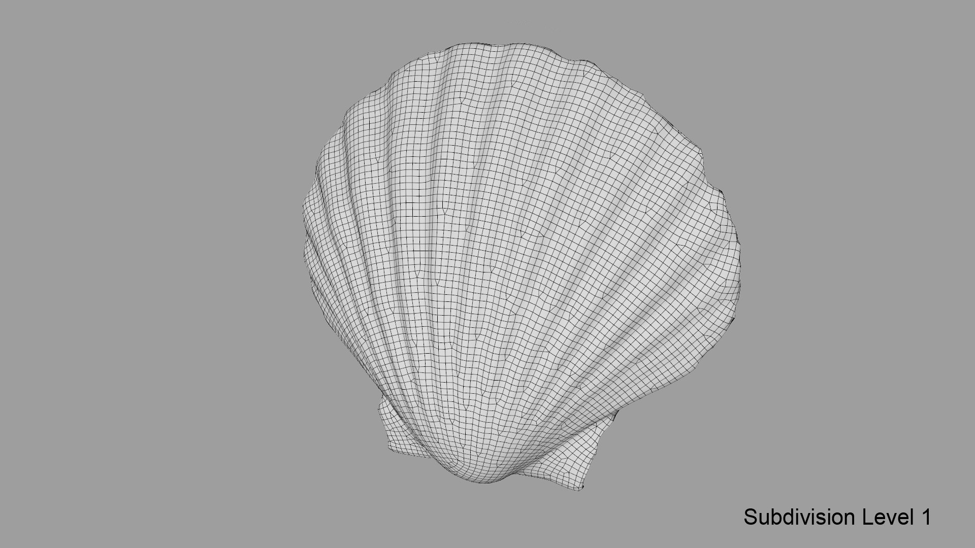 3D sea shell model - TurboSquid 1495817