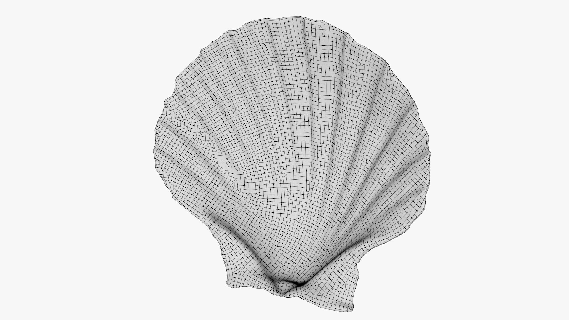 3D sea shell model - TurboSquid 1495817