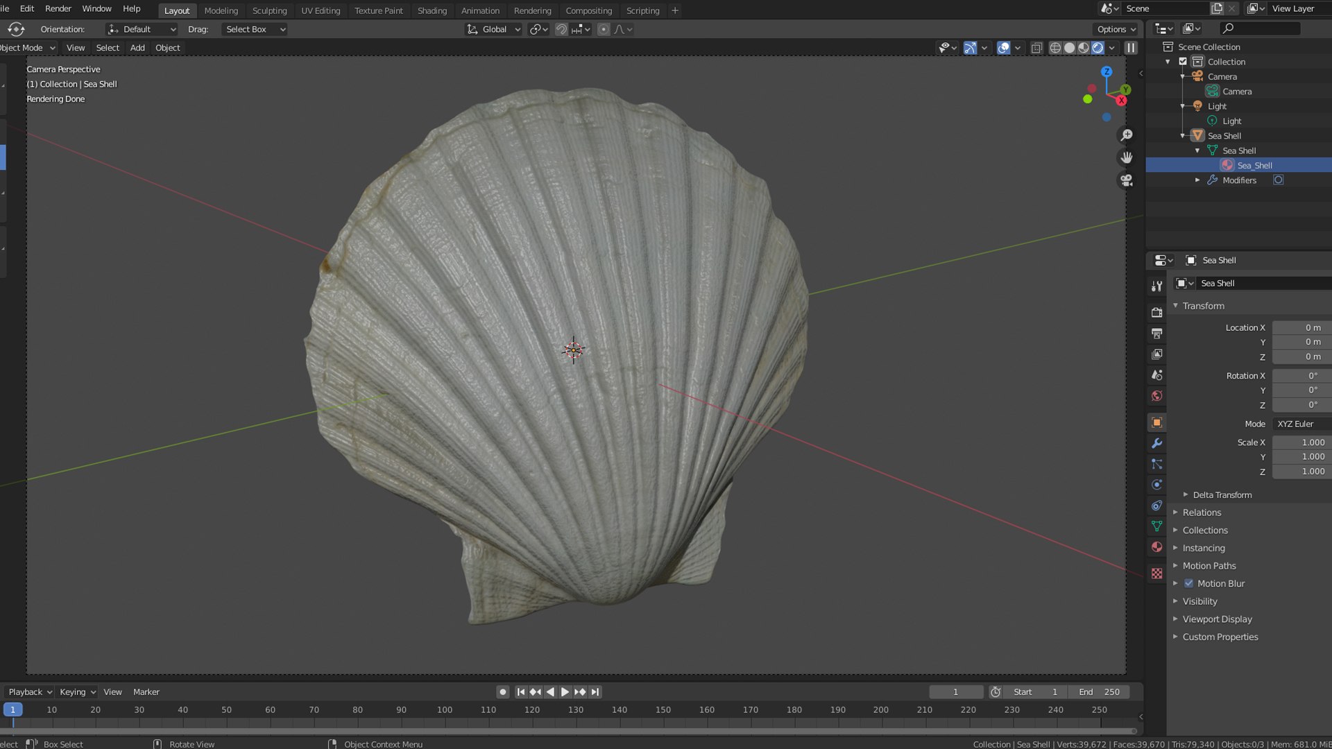 3D Sea Shell Model - TurboSquid 1495817