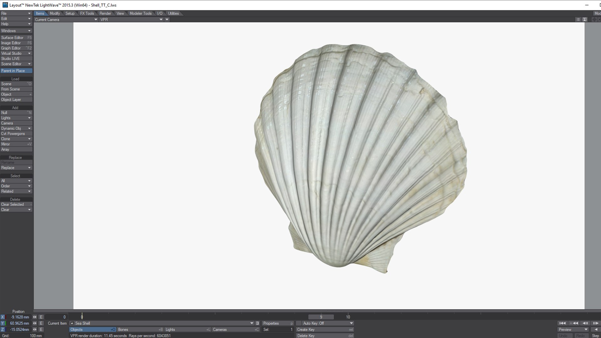 3D Sea Shell Model - TurboSquid 1495817