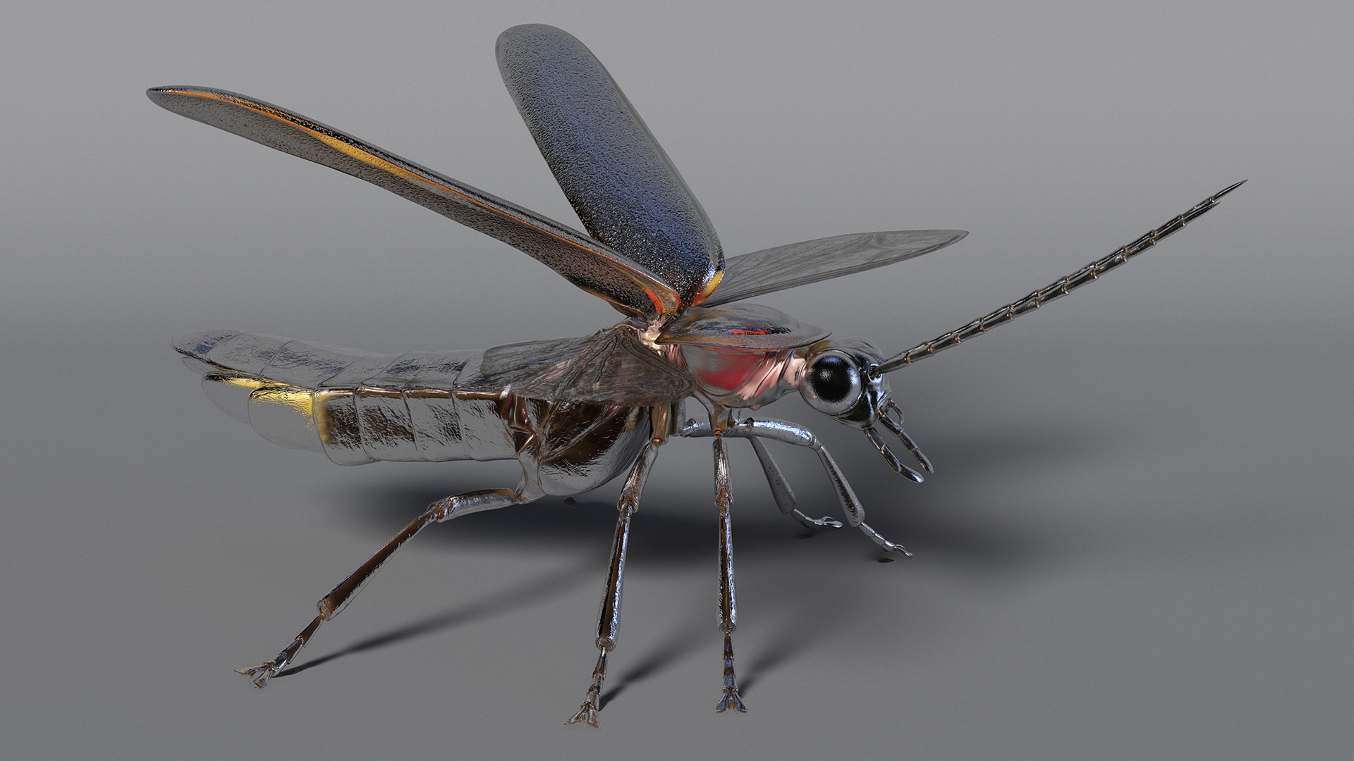 3D Big Dipper Firefly Basic Pose model - TurboSquid 2170484