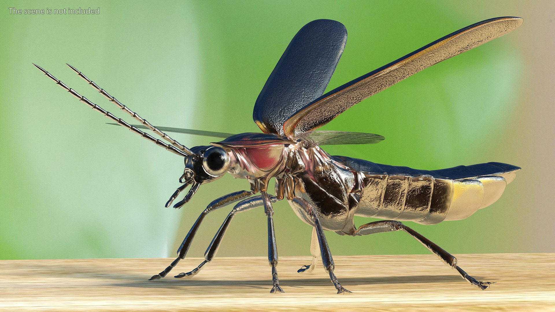 3D Big Dipper Firefly Basic Pose model - TurboSquid 2170484