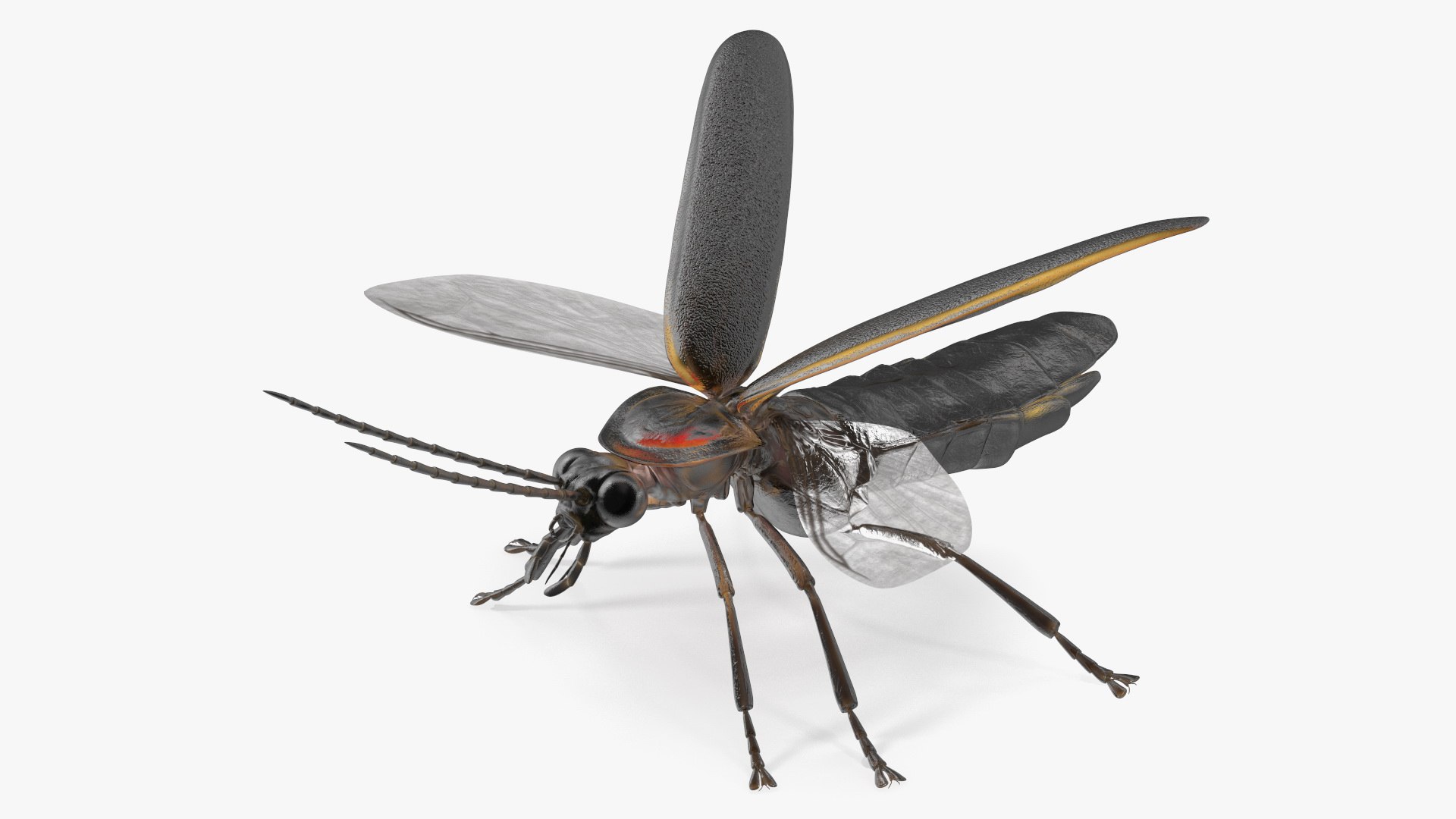 3D Big Dipper Firefly Basic Pose model - TurboSquid 2170484