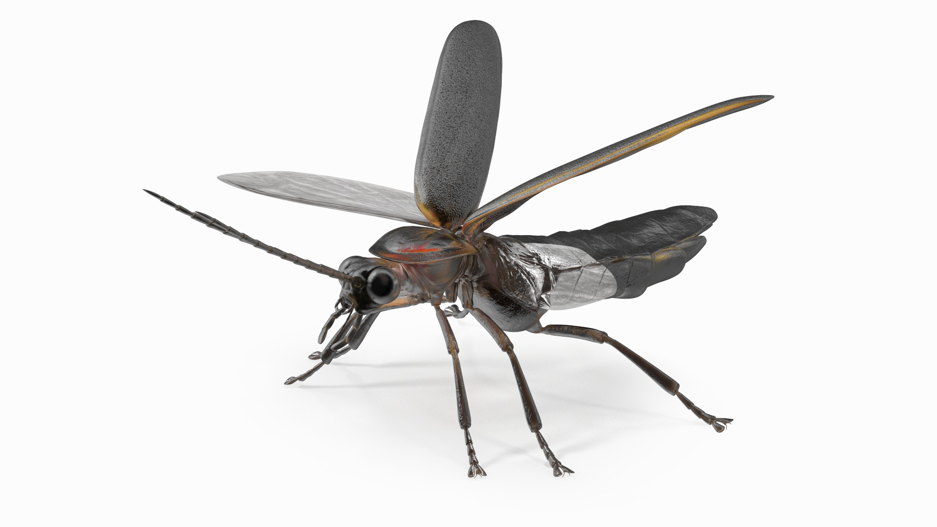 3D Big Dipper Firefly Basic Pose model - TurboSquid 2170484