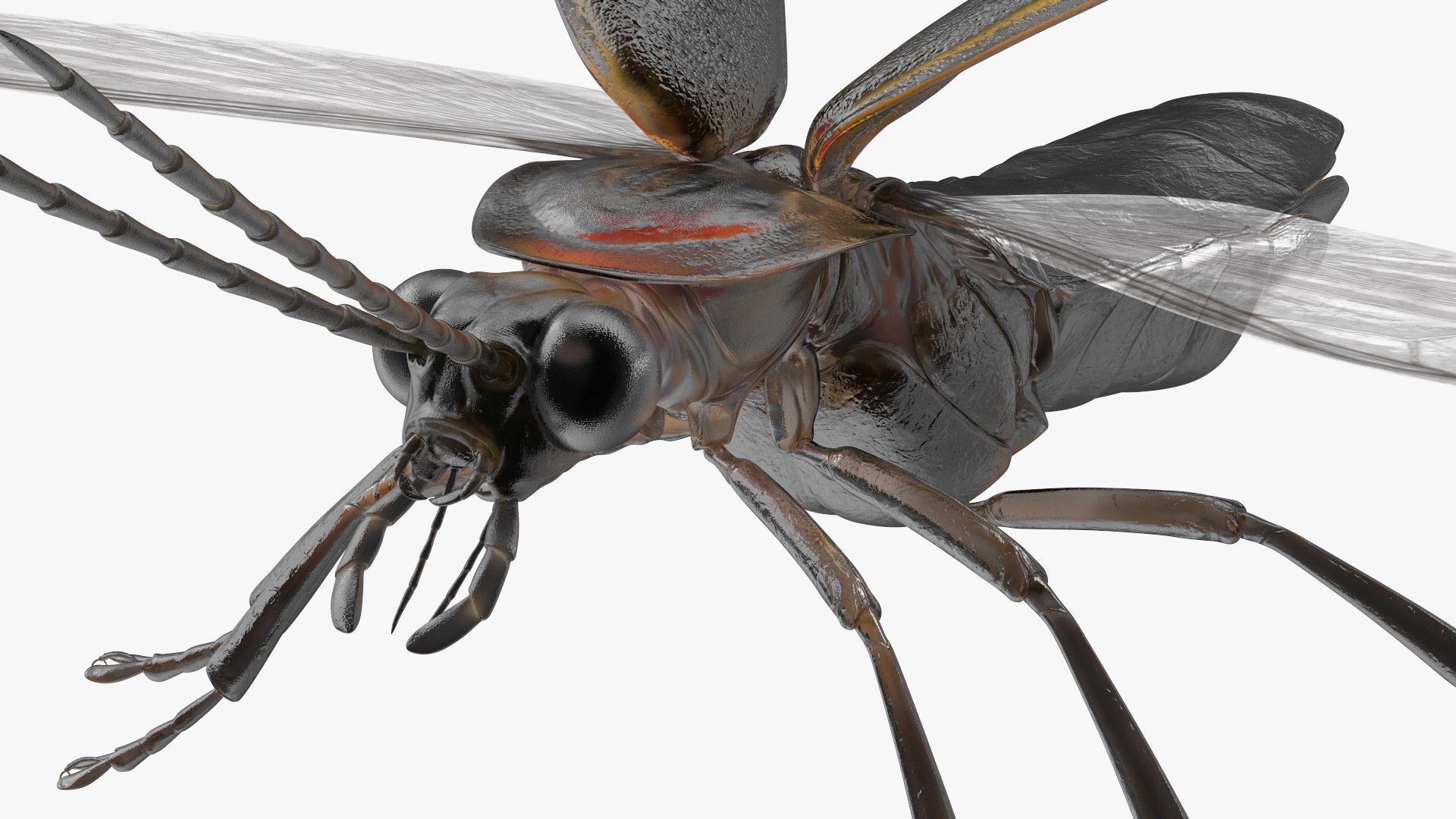 3D Big Dipper Firefly Basic Pose model - TurboSquid 2170484