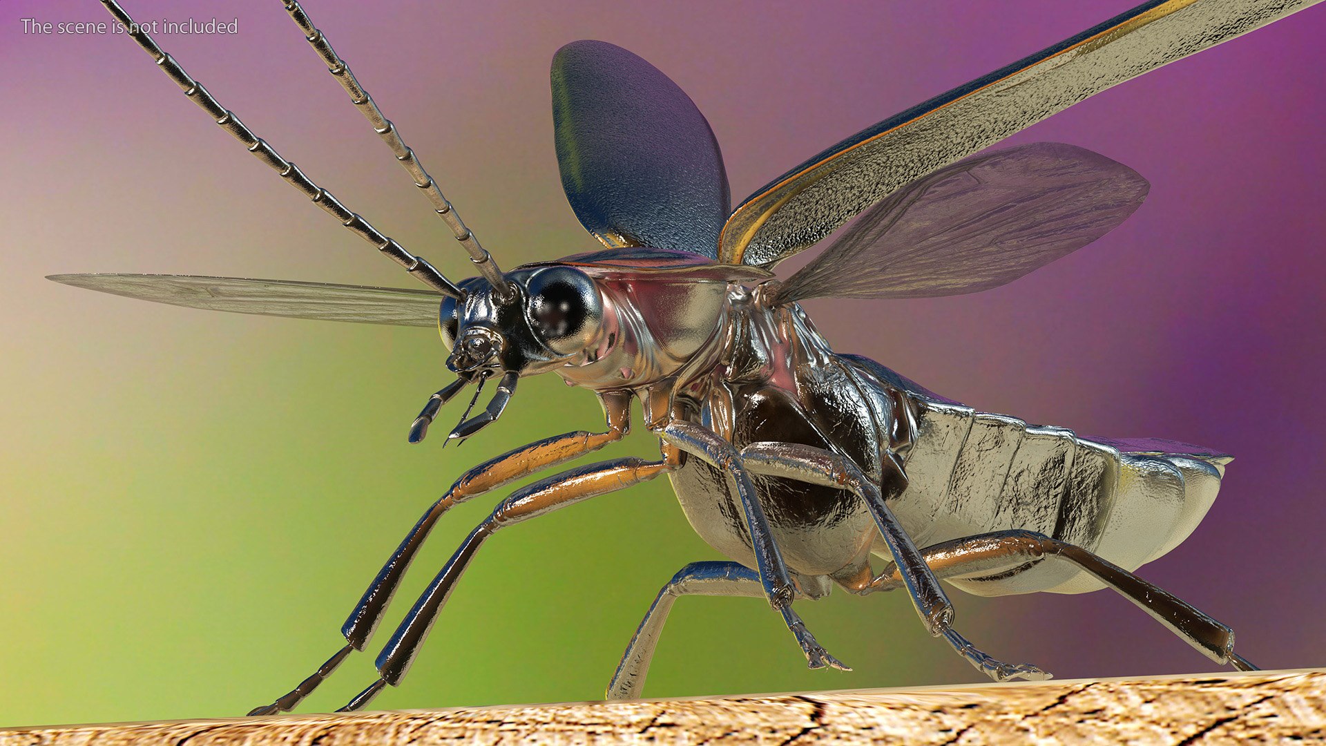 3D Big Dipper Firefly Basic Pose model - TurboSquid 2170484