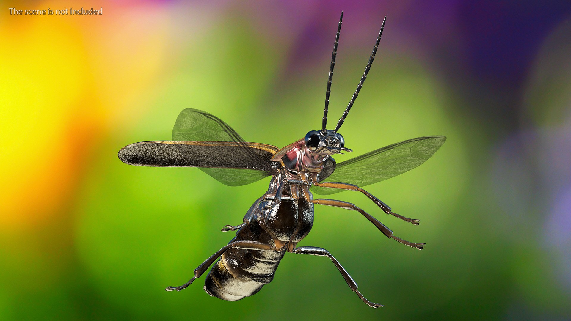 3D Big Dipper Firefly Basic Pose model - TurboSquid 2170484