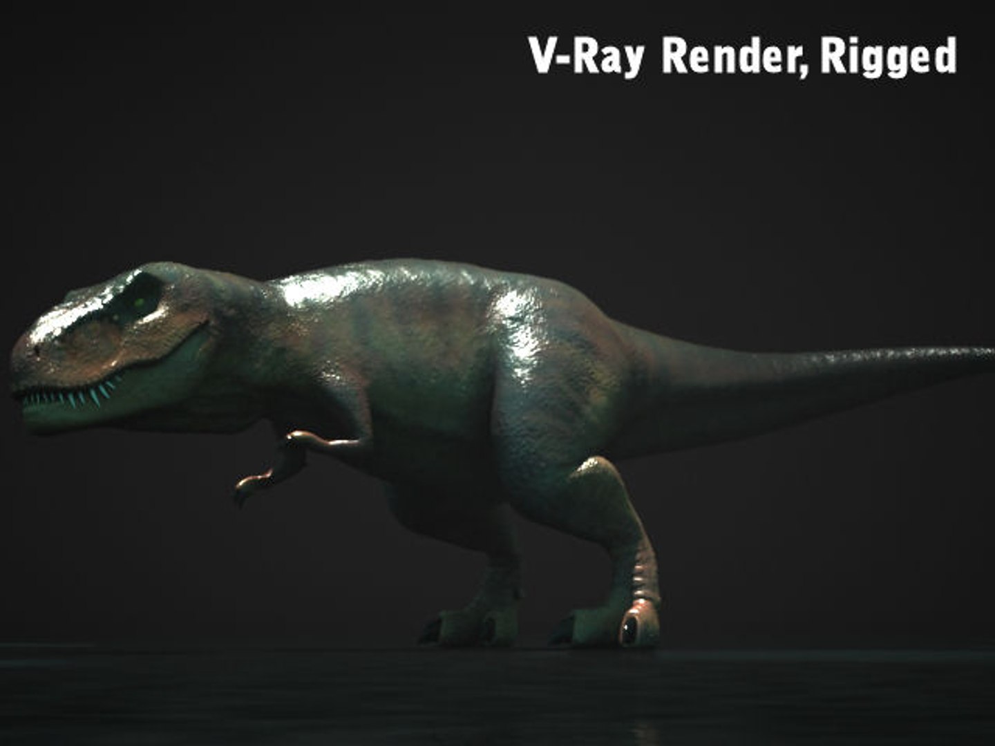 3d T-rex T Rex Model