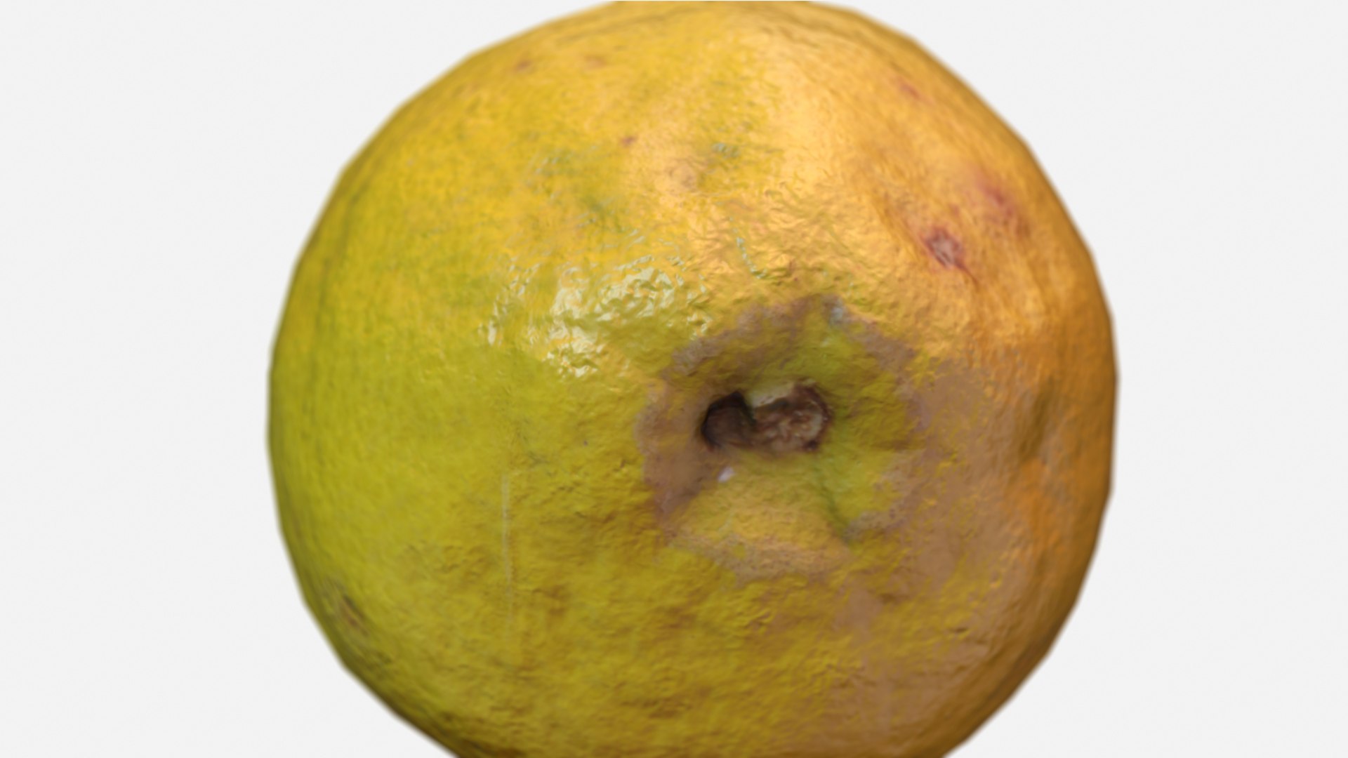 Fruit Lemon - Photoscanned Model - TurboSquid 1513171