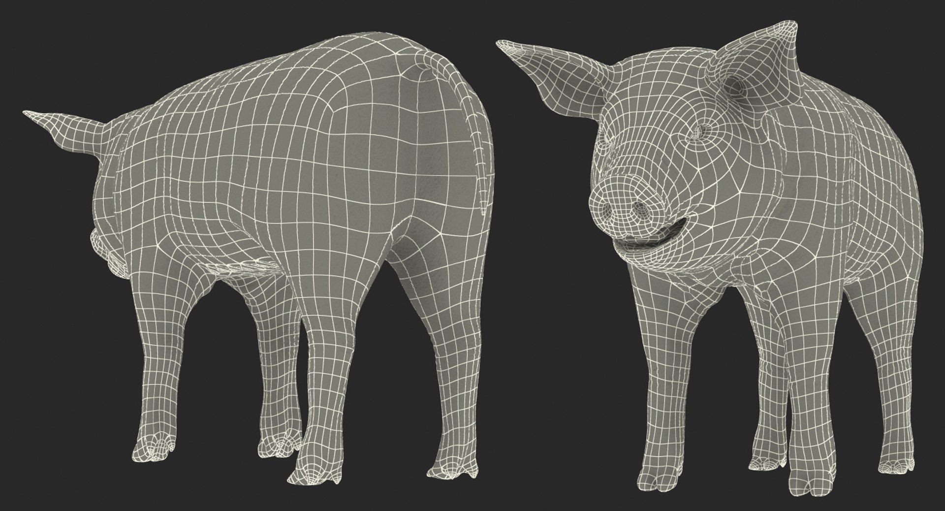 Pig Piglet Pietrain Rigged 3D Model - TurboSquid 1358876