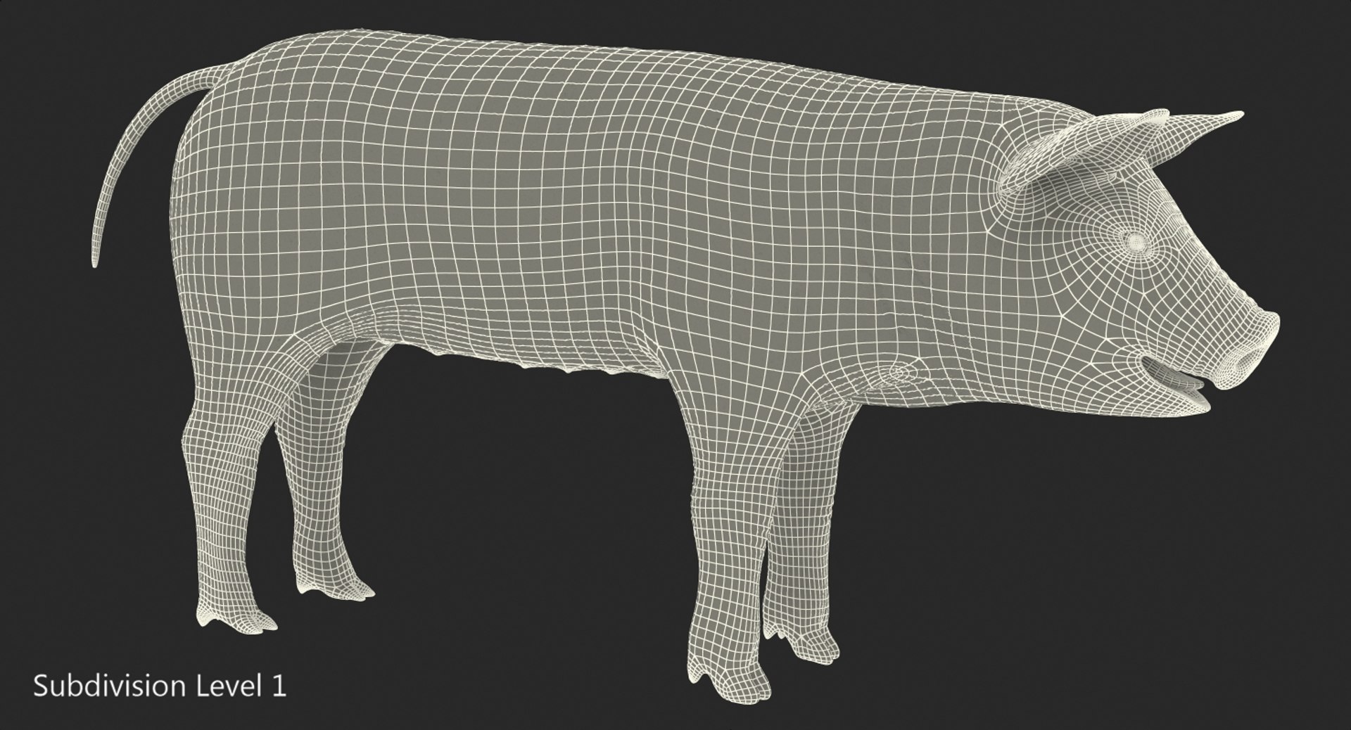 Pig Piglet Pietrain Rigged 3D Model - TurboSquid 1358876