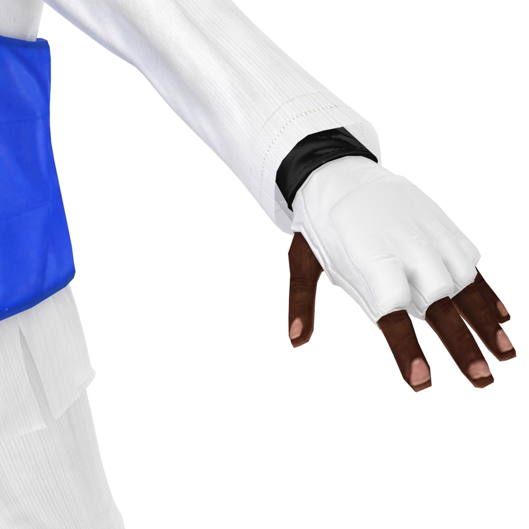 3D Olympic Taekwondo Model - TurboSquid 1292991
