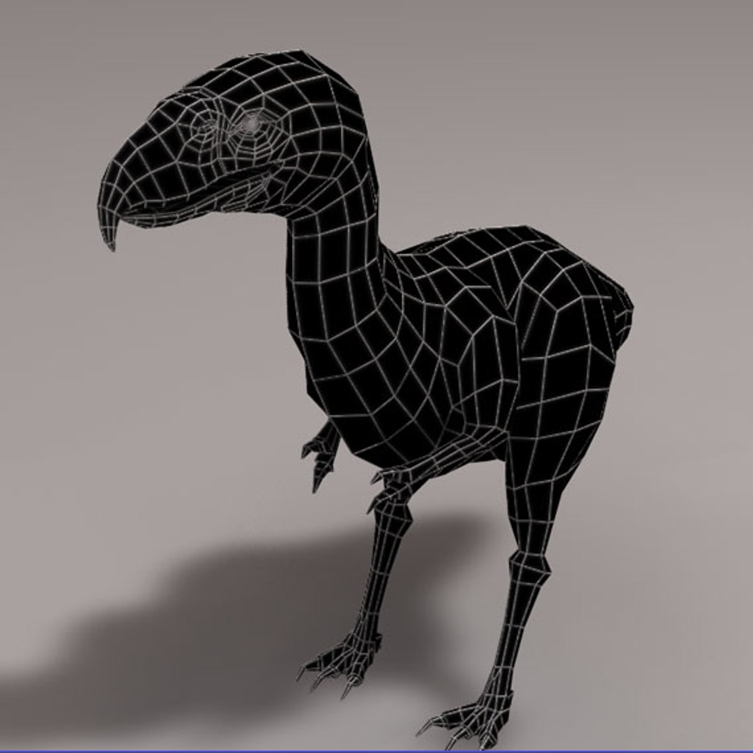 3d Terrorbird Terror Bird