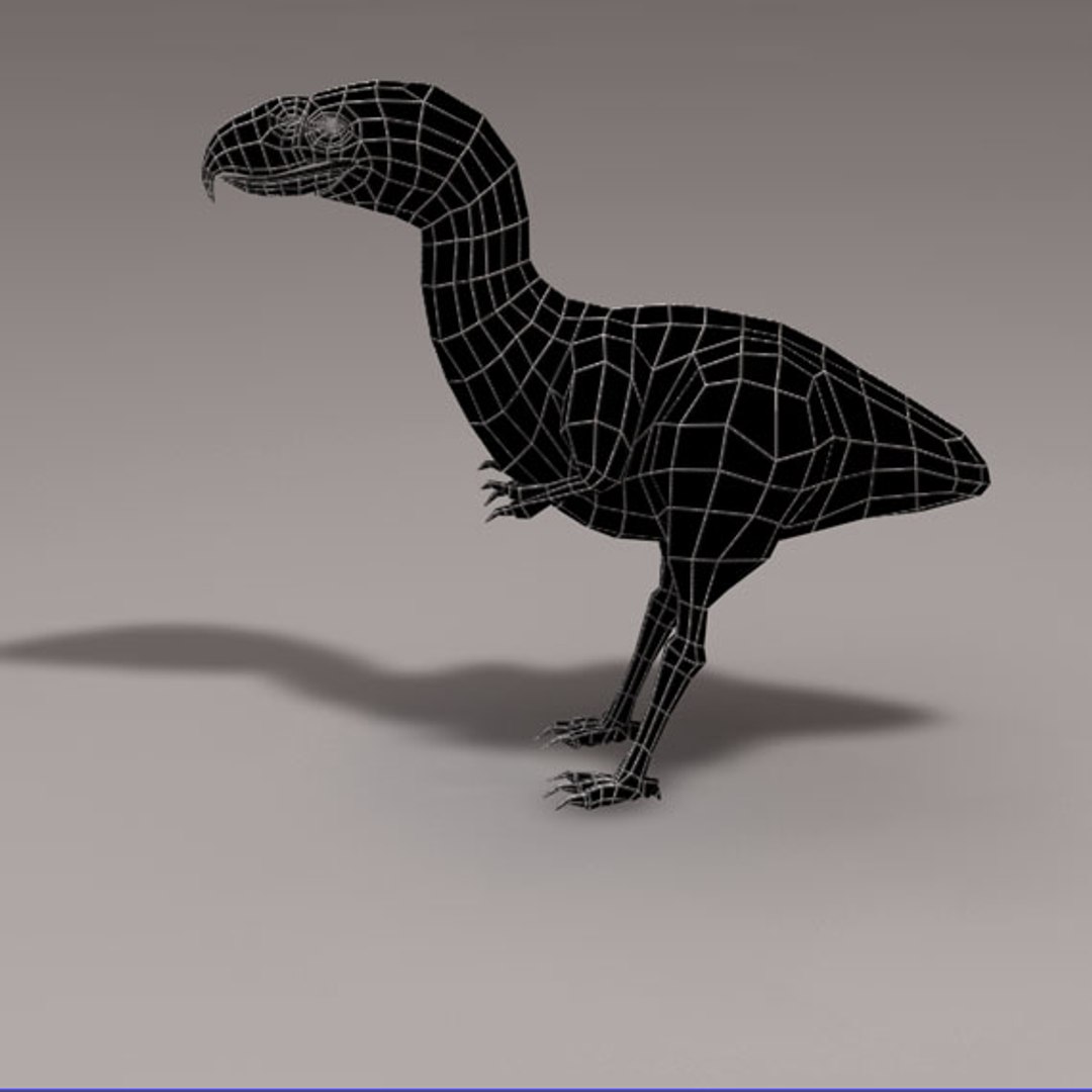 3d Terrorbird Terror Bird