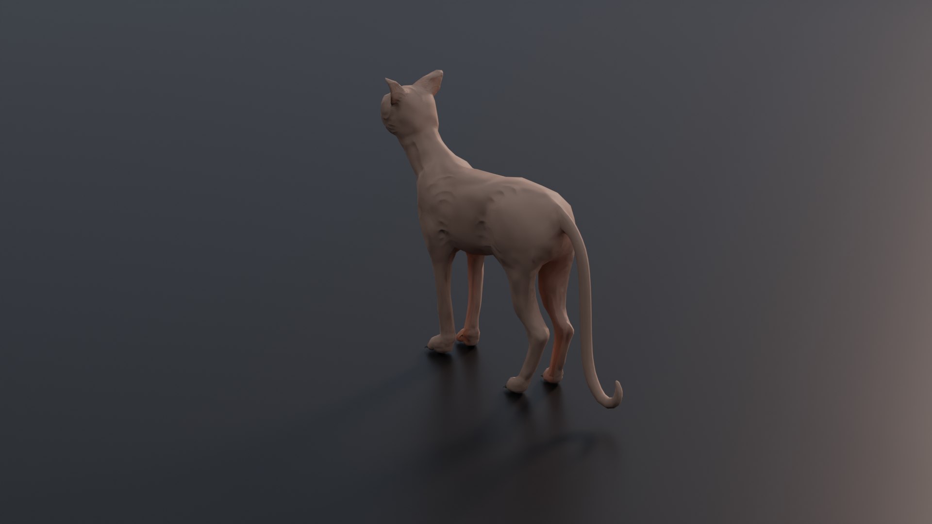 Sphynx Cat 3D Model - TurboSquid 1918741