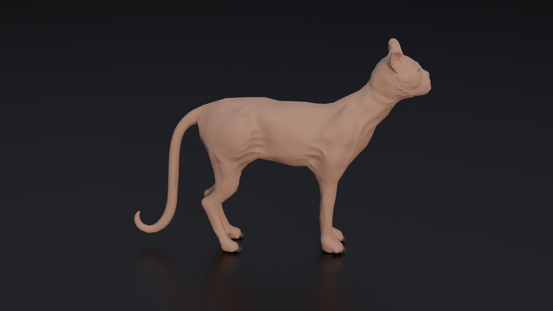 Sphynx Cat 3D Model - TurboSquid 1918741