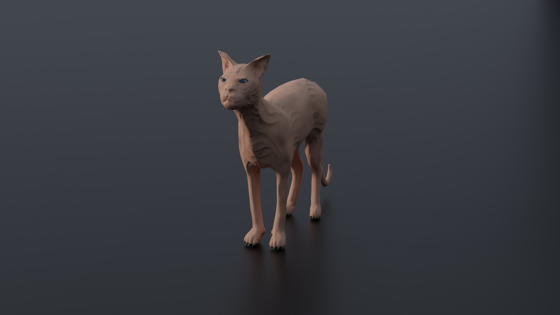 Sphynx Cat 3D model - TurboSquid 1918741