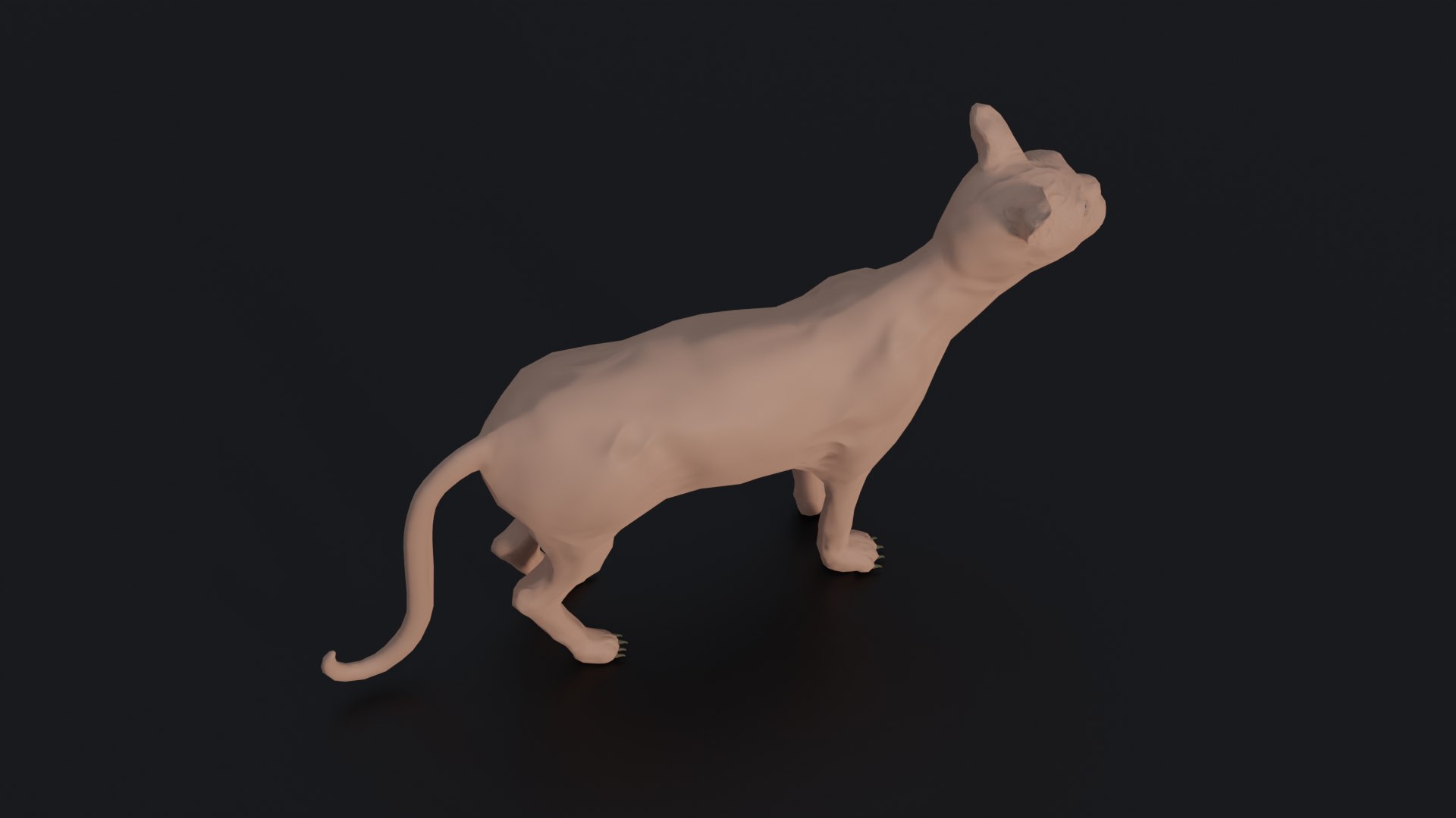Sphynx Cat 3D Model - TurboSquid 1918741