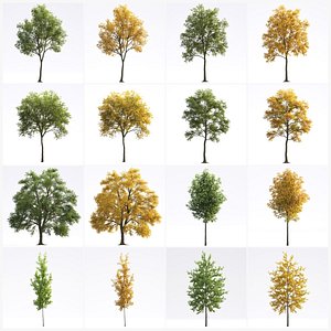 3d Archmodels Vol 171 Trees
