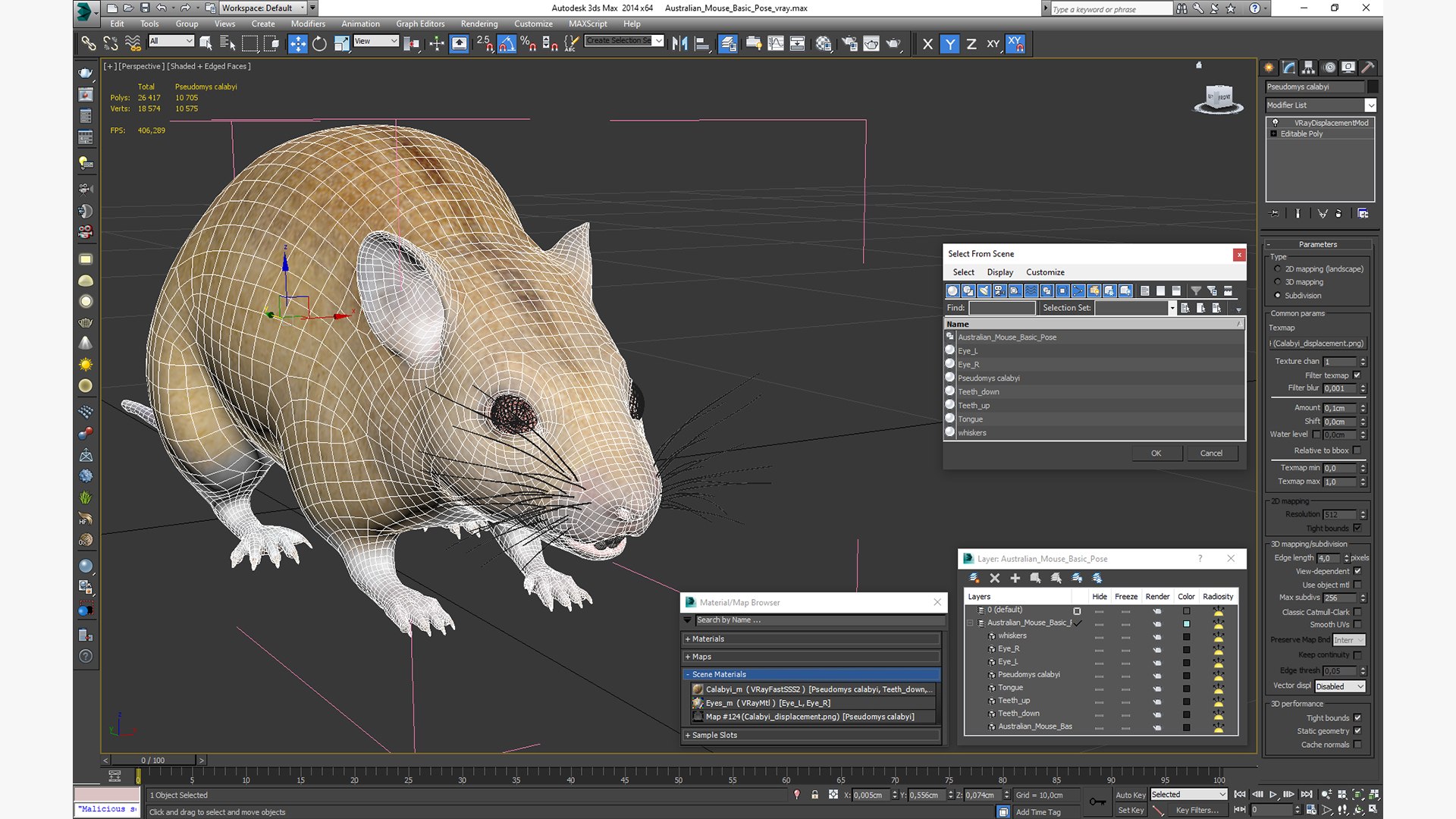 Australian Mouse Basic Pose Model - TurboSquid 2197110
