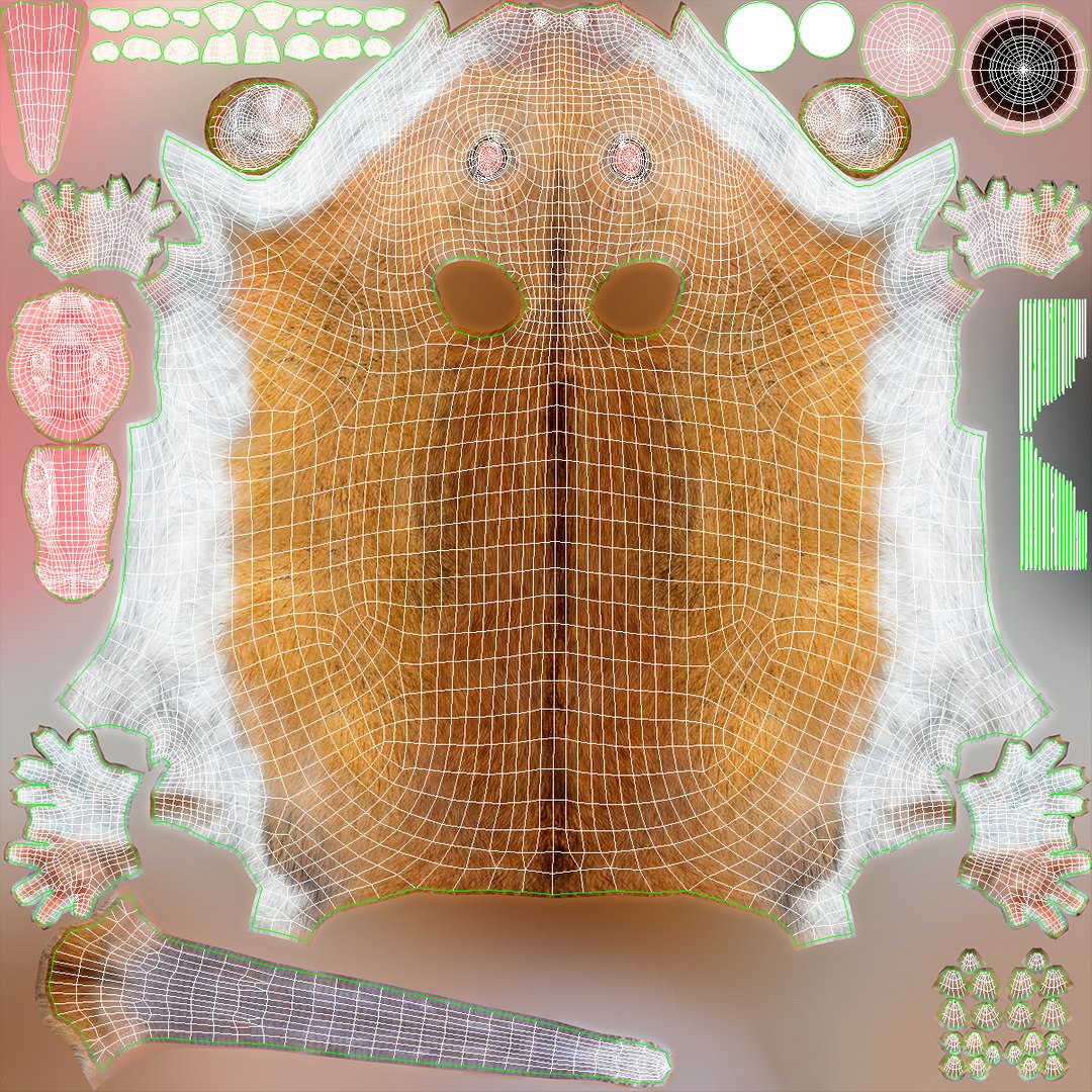 Australian Mouse Basic Pose Model - TurboSquid 2197110