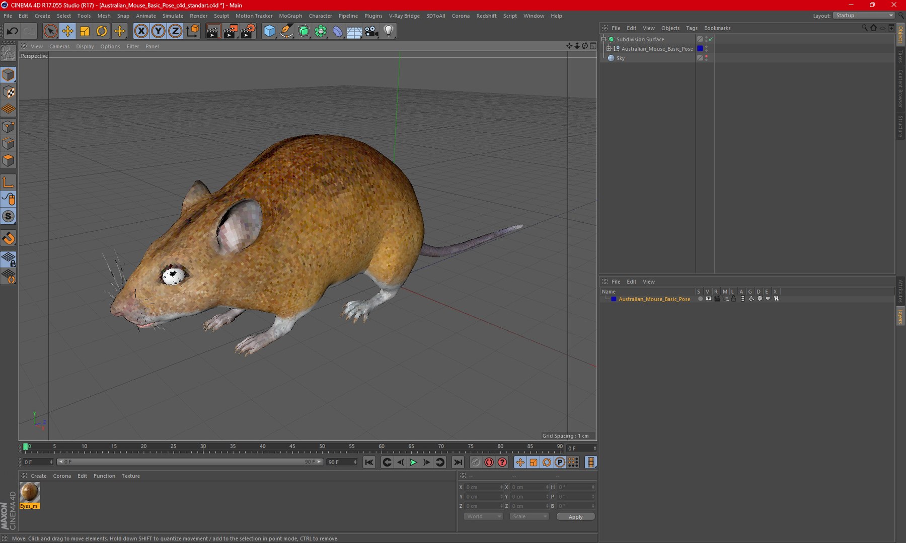 Australian Mouse Basic Pose Model - TurboSquid 2197110