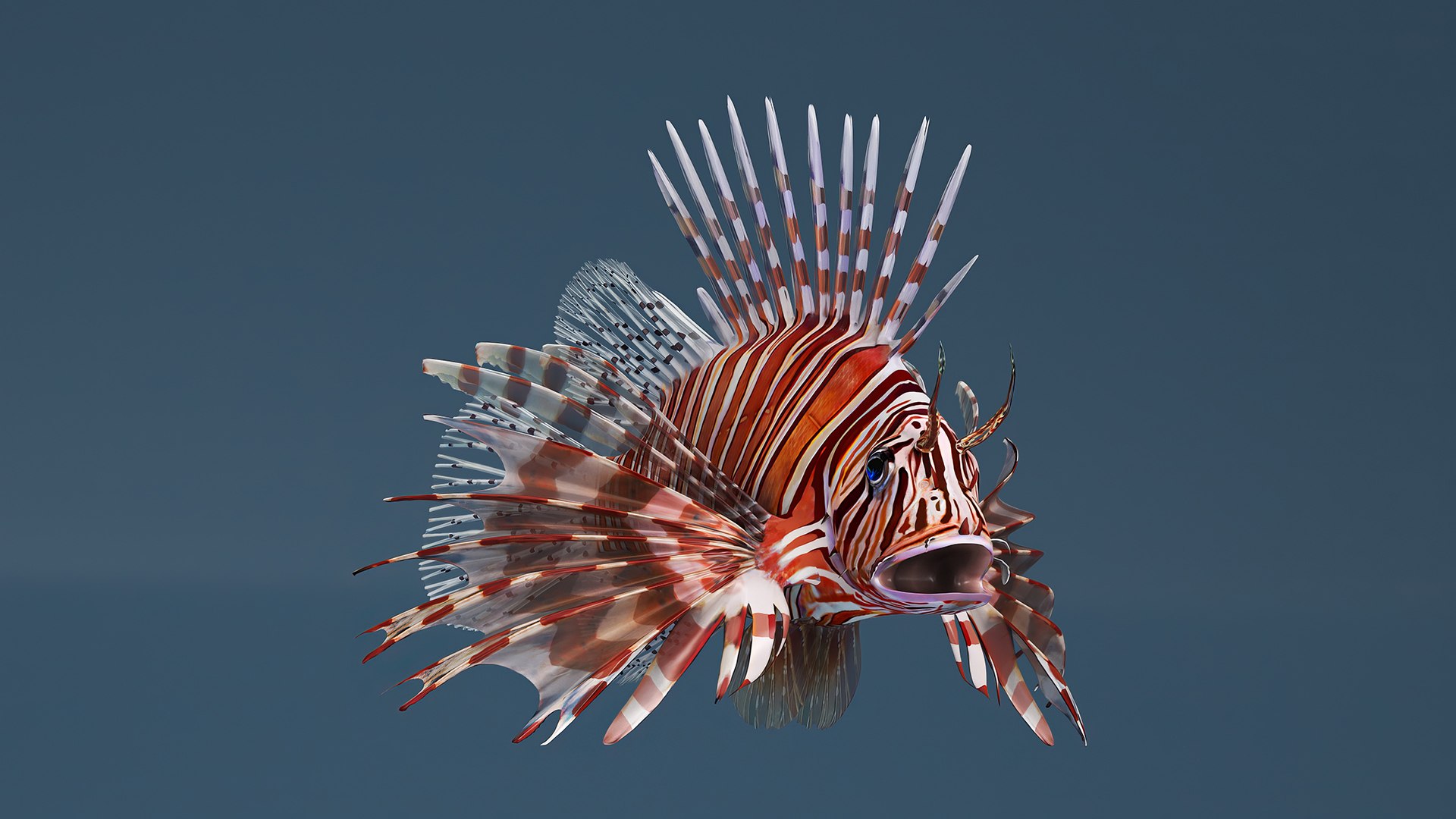 3D Model Lionfish Marine Creature Rigged For Cinema 4D - TurboSquid 2353271