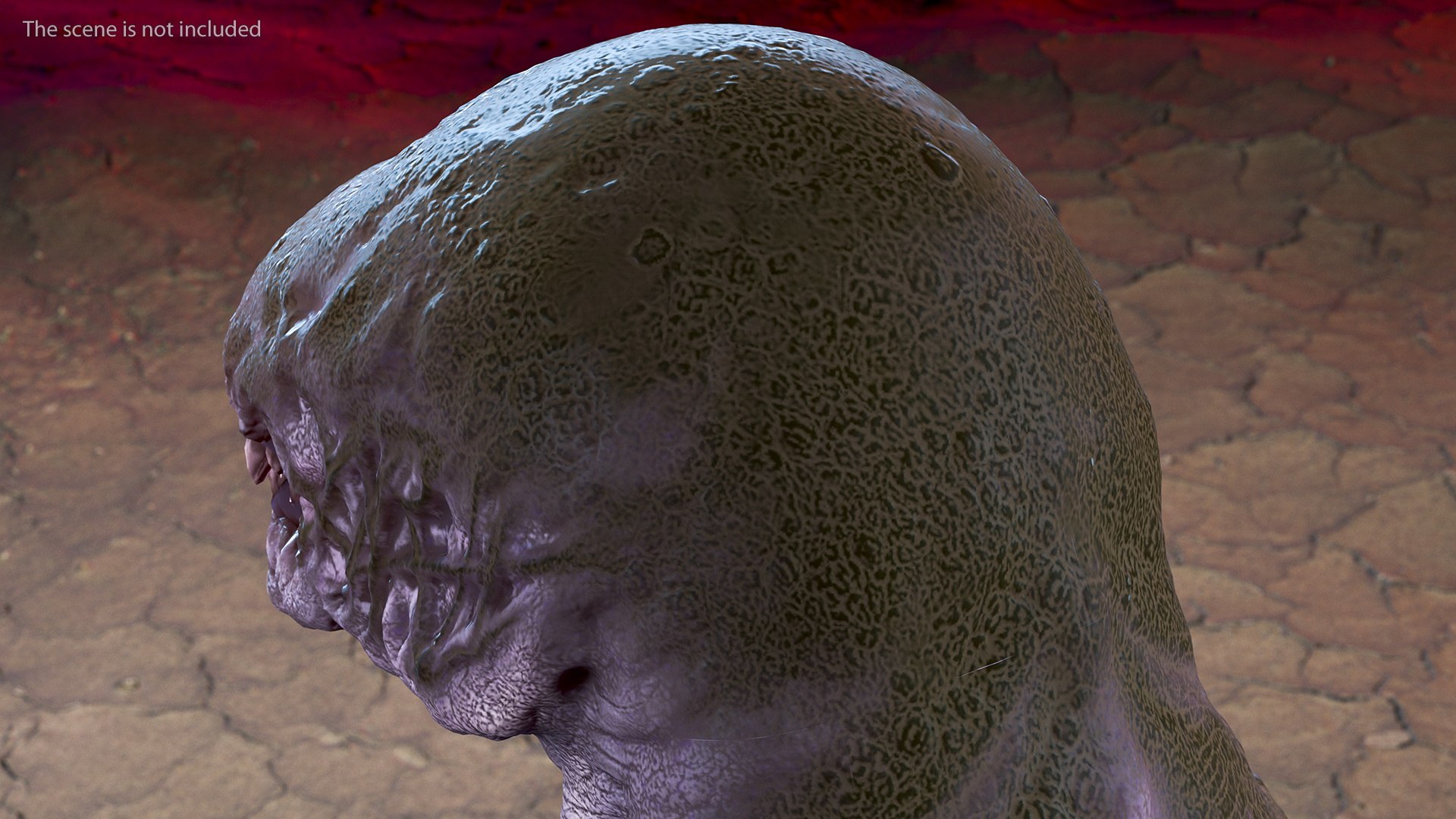 3D Monster Beast Head Creature - TurboSquid 1700683