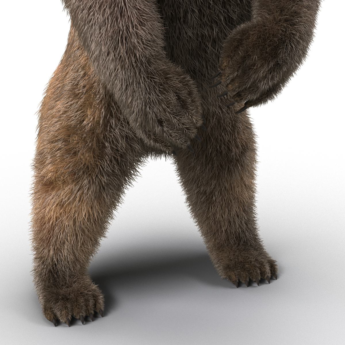 max brown bear fur pose