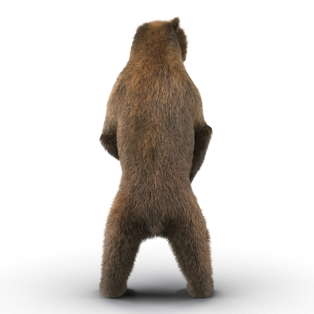 max brown bear fur pose