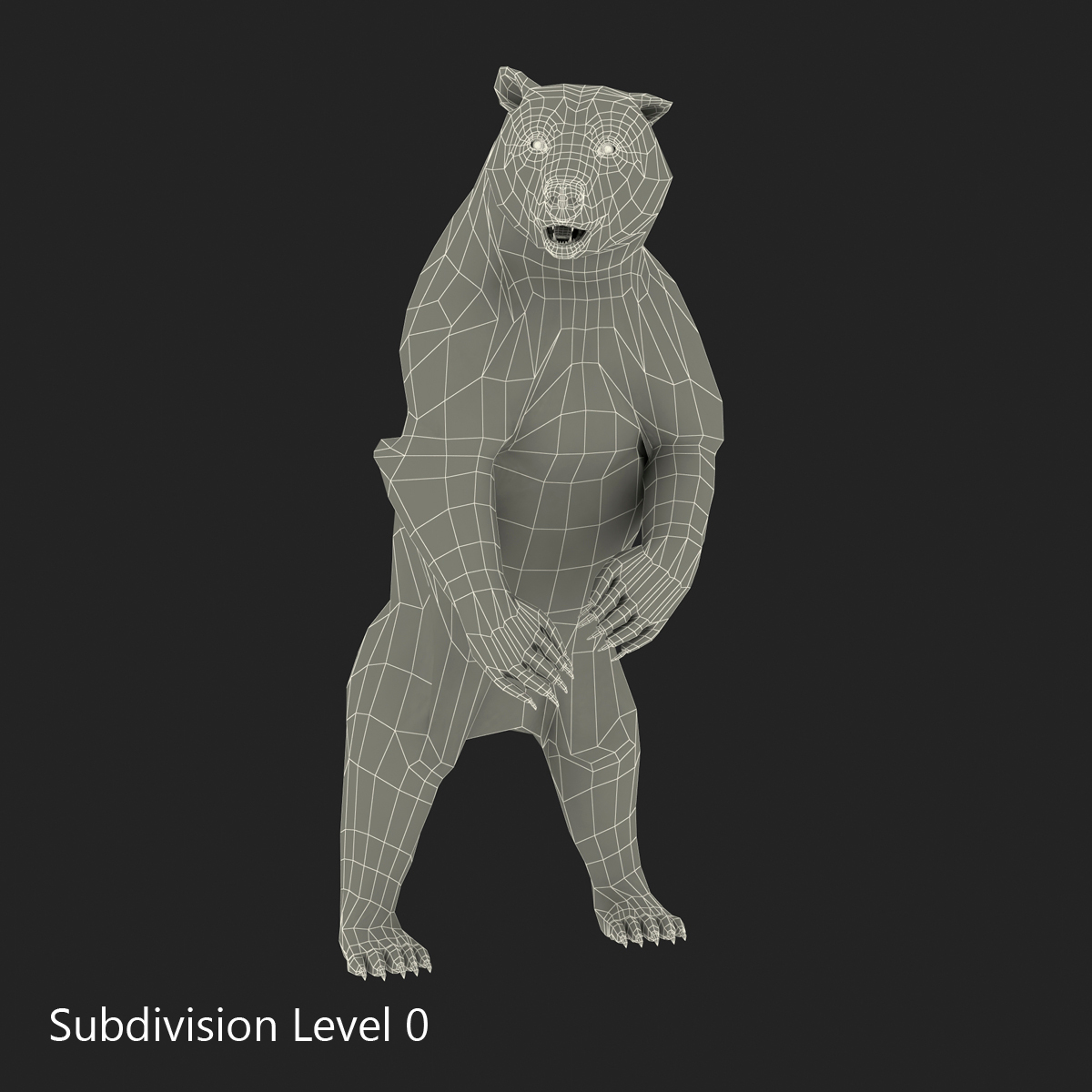 max brown bear fur pose