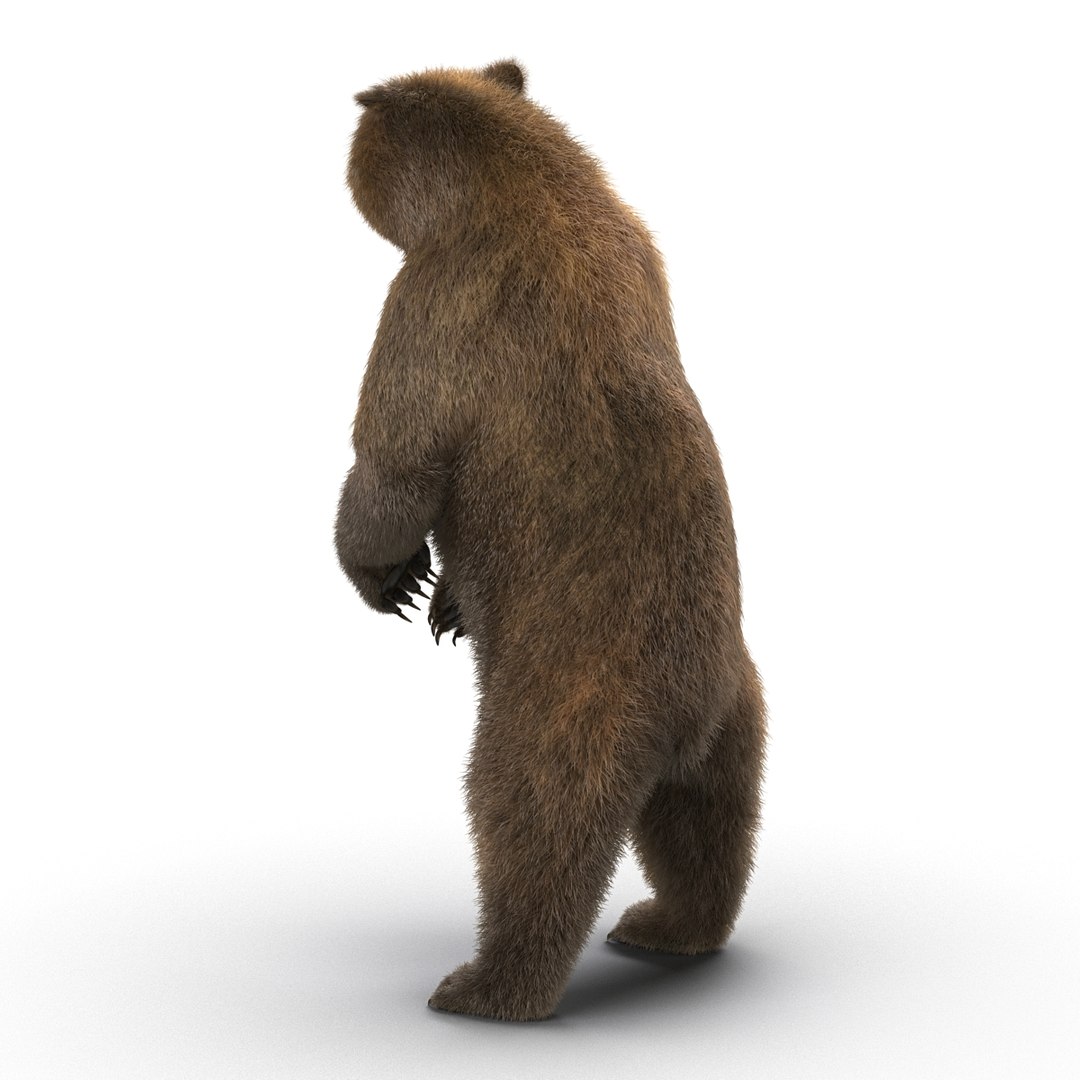 Max Brown Bear Fur Pose