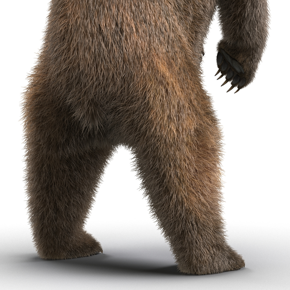 max brown bear fur pose