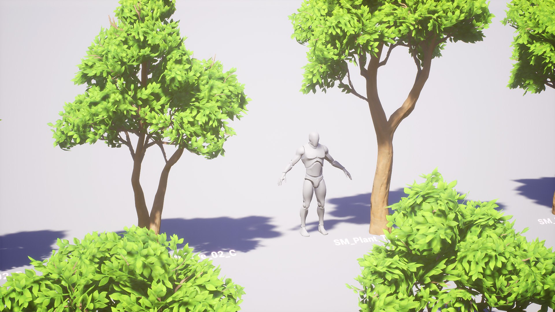 3D model Simple Trees Pack - TurboSquid 2089672