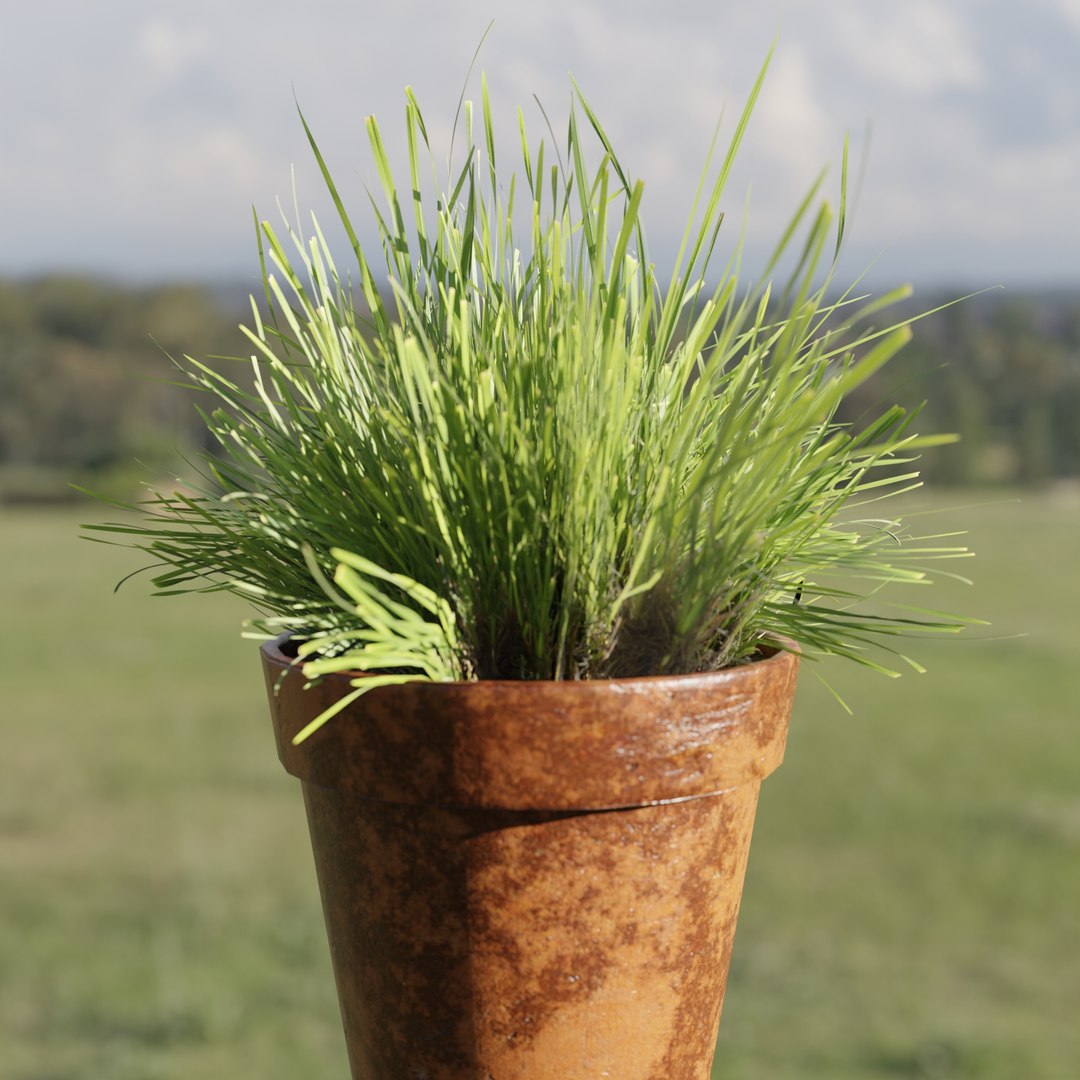 Lowpoly Pot Plants Collection Vol 228-Blender-3dmodel 3D - TurboSquid ...